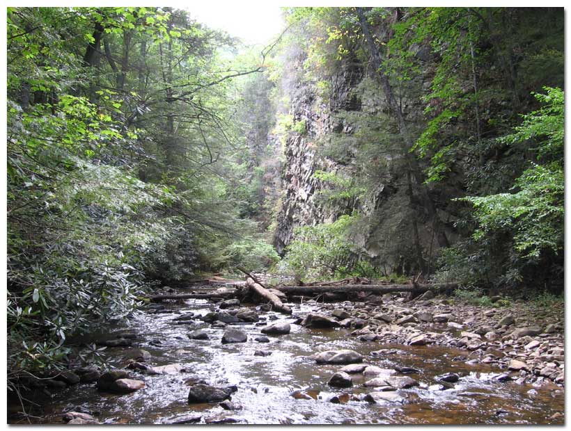 Virtual Hike through an Appalachian Gorge in Carter County Tennessee
